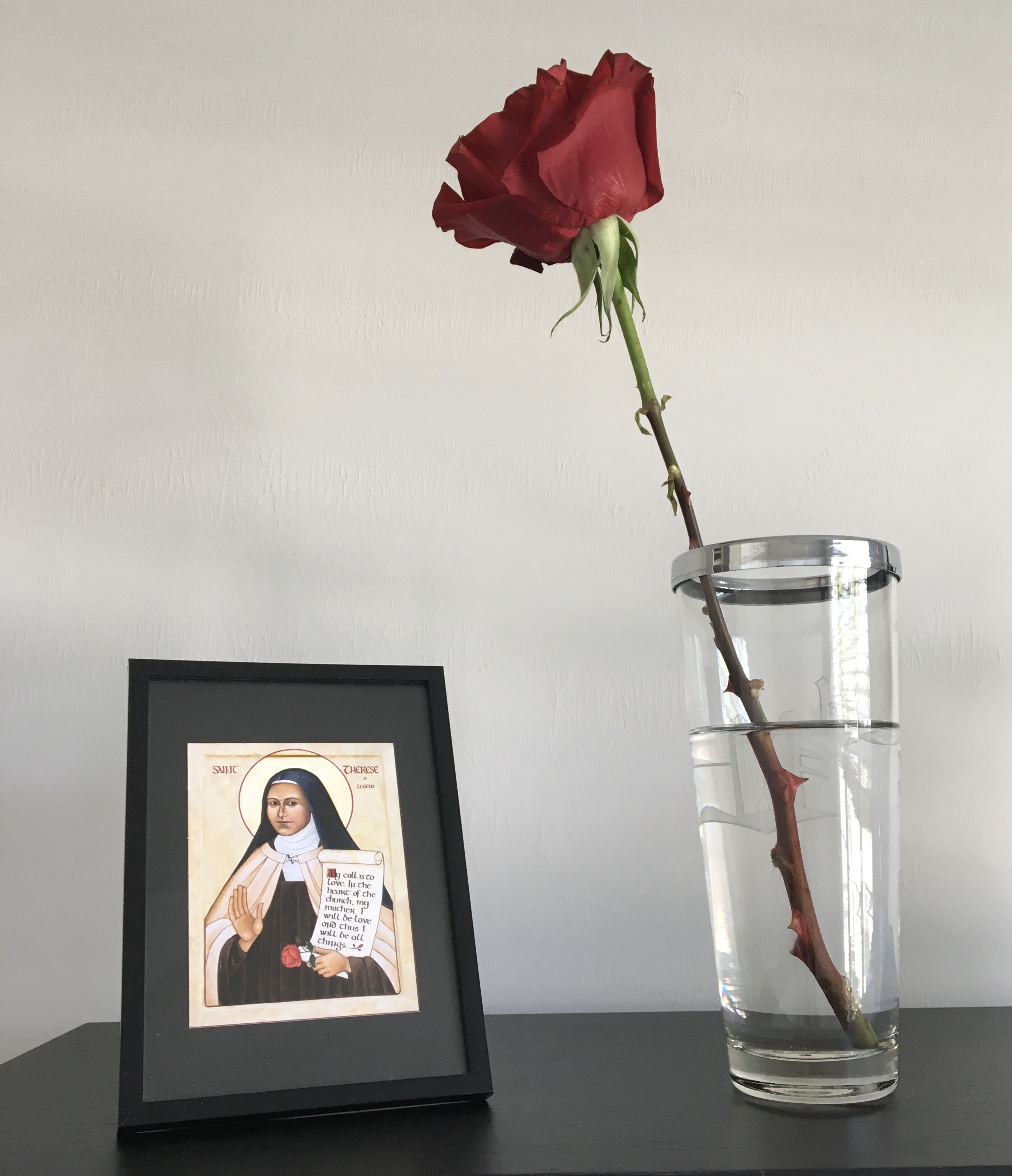 Five Years of One Small Rose – One Small Rose