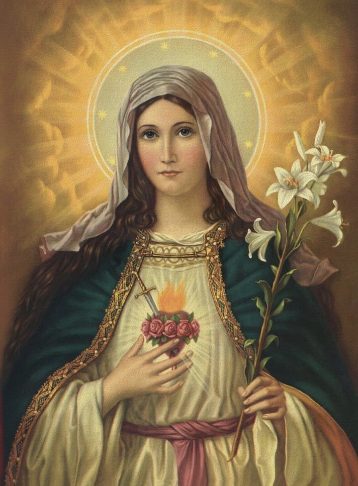 The Divine Will Part VI: The Chastity of Mary – One Small Rose